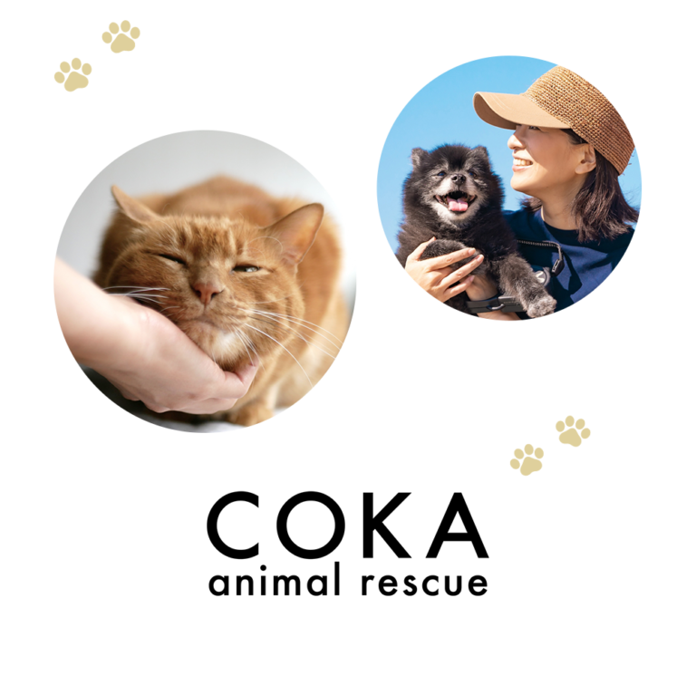 ミライテック株式会社 公式サイト